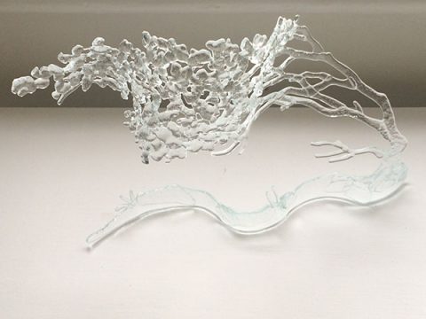 Paula Rylatt - Gallery 6 Newark